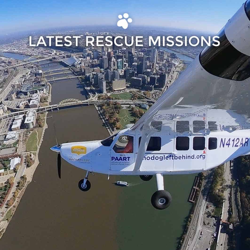PAART – Pittsburgh Aviation Animal Rescue Team